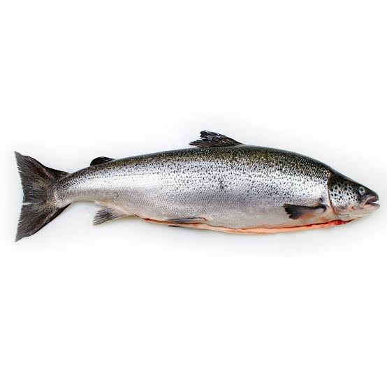 Russian Salmon Per Kg - Ushu Mart